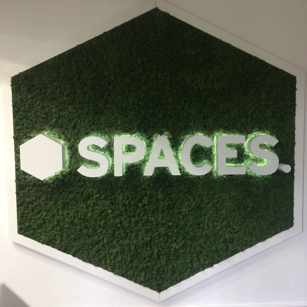 3D Built up Stainless Steel Painted Logo Wall Sign - Halo LED ...