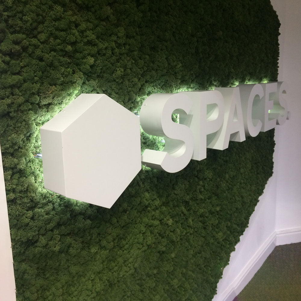 3D Built up Stainless Steel Painted Logo Wall Sign - Halo LED ...